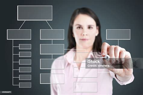 Young Business Woman Writing Process Flowchart Diagram On Screen Stock