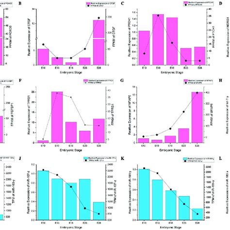 validation of the rna seq and mirna seq data by rt qpcr using 7