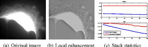 Figure 1 From Mosaicking Based Framework For Local Enhancement Of Bio