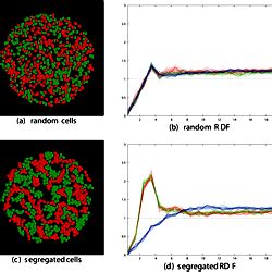 Example Simulations And Their RDF Plots