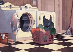 Laundry S Download And Share Laundry S Download And Share