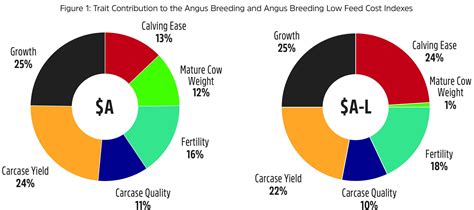 Angus Breeding Indexes A A L Angus Australia