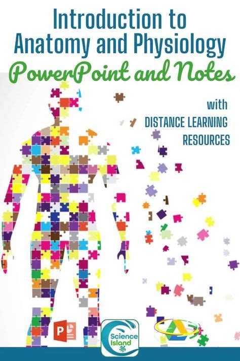 310 Science Island Curriculum Ideas Secondary Science Secondary Science Classroom High