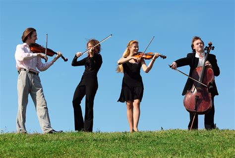 South West String Quartet Function Central String Quartet Somerset Function Central