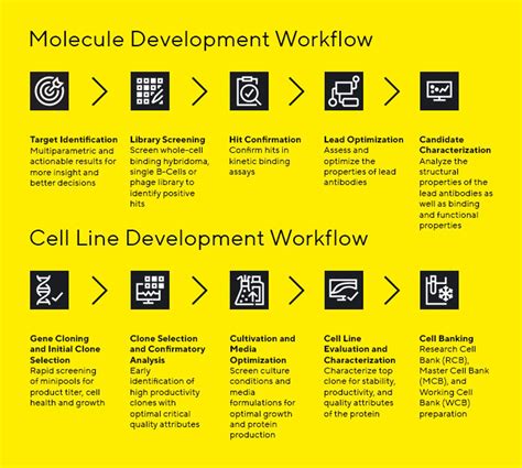 Unifying Biologics Development With A Single Vendor Workflow Drug Discovery And Development