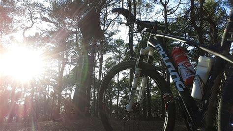 Katajamo Katajamo Added A New Photo