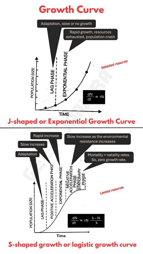 Population Growth Curve