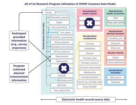 Understanding Omop Basics User Support