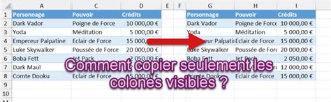 Coller Uniquement Les Cellules Visibles Non Masquées