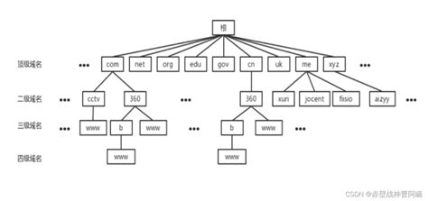 linux基础——dns服务器原理及搭建 linux dns服务器搭建 csdn博客