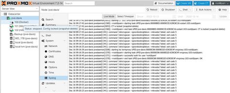 Cant Start One Of My Nodes Task Error Ct Is Locked Snapshot Delete
