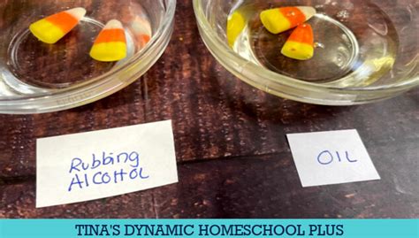 Fun Candy Corn Stem Activity Which Liquid Dissolves Candy Corn Faster