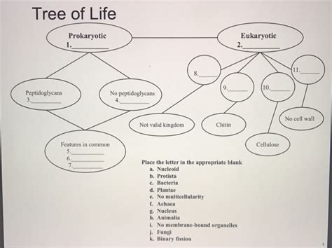 Solved Tree Of Life Prokaryotic Eukaryotic Chegg Com