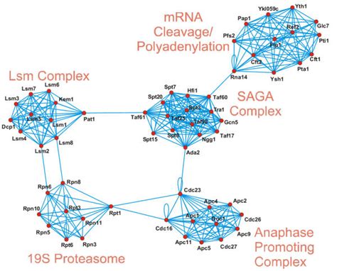 Examining Complex Connectivity With MCODE Figure Legend The Complexes Download Scientific