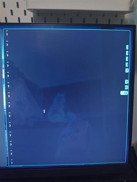 foot terminal broken scrollback indicator r hyprland