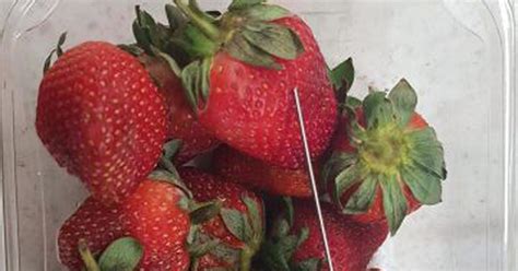 호주 딸기 속에서 바늘이 먹기 전에 잘라봐야