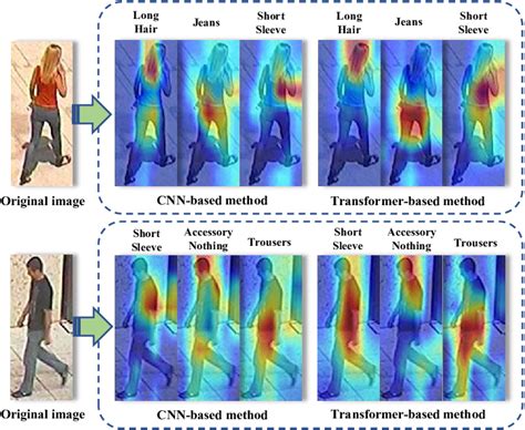 comparison of the attribute heat maps generated by a cnn based network