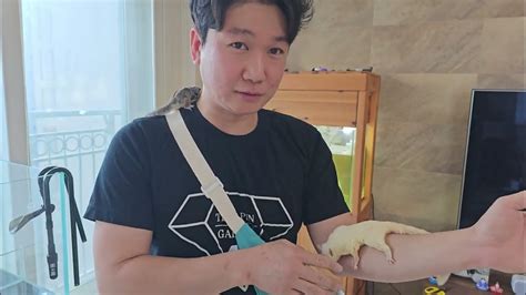 멤버십 주머니에 이상한 생물 넣어다님 Youtube