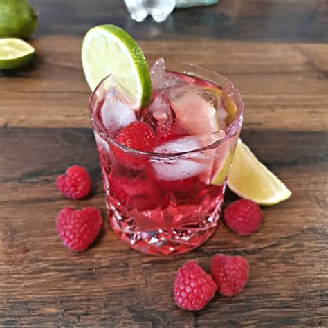 Raspberry Gin Tonic Cocktail Recipe A Fruity Summery Gin Tonic