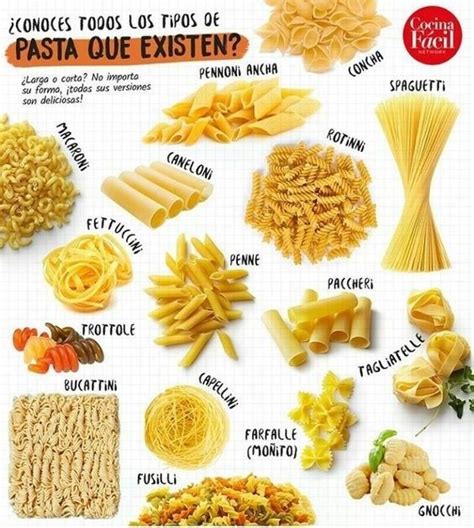 Todo Lo Que Necesitas Para Despertar Al Chef Que Llevas Dentro