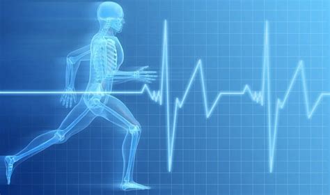 “trojan Horse” Nanoparticle Eats The Plaque That Cause Heart Attacks