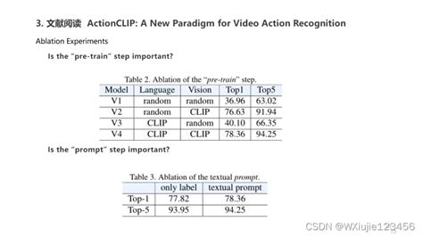论文阅读 actionclip a new paradigm for video action recognition csdn博客