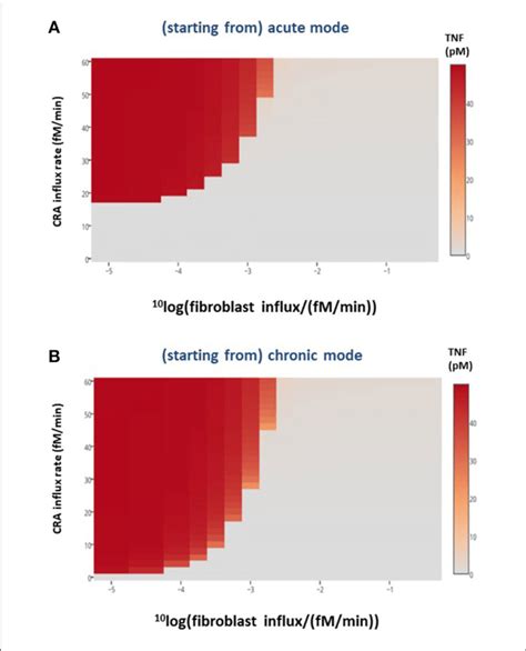 Healthy Fibroblast Influx And Inflammation In Silico For Various