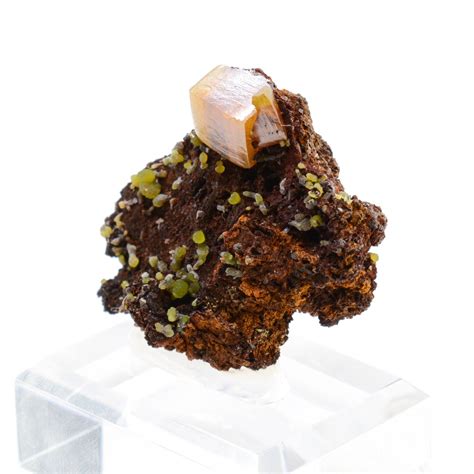 Wulfenite Mimetite And Adamite Ojuela Mine Mapimi Durango Mexico La Mine 2 Tout