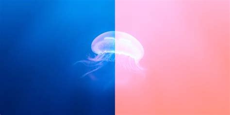Blending Modes In CSS Color Theory And Practical Application