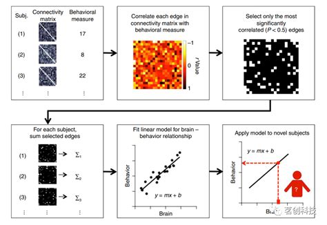 茗创：功能磁共振数据处理业务 核磁共振数据的校正 csdn博客