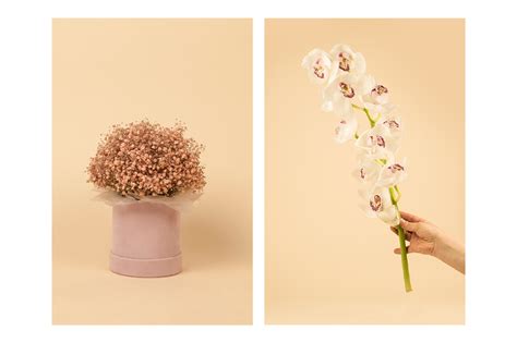 Barbaris on Behance