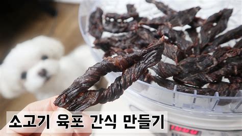 Sub 😋 강아지 수제간식 소고기 육포 만들기 Youtube