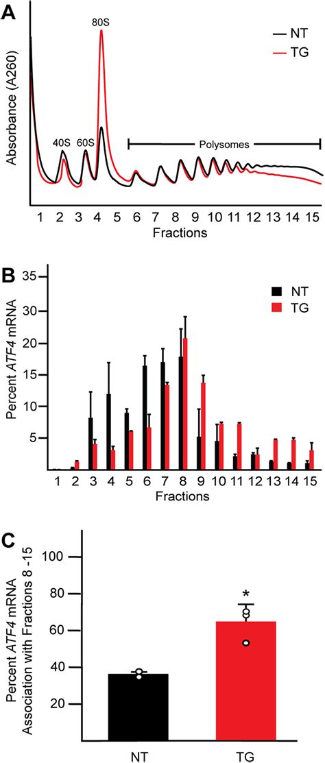 Polysome Profiling Is An Extensible Tool For The Analysis Of Bulk