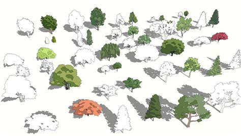 Tree Plan 2d