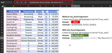 Excel XLOOKUP From Basic To Advanced Use Including Visual Examples