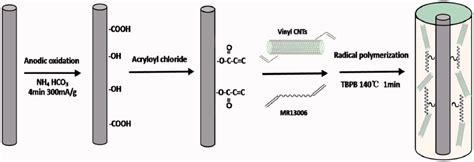 Scheme Of Surface Modification Process Download Scientific Diagram