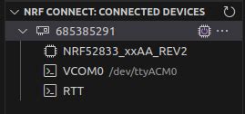 Exercise 1 Advanced Debugging In NRF Connect For VS Code Nordic Developer Academy