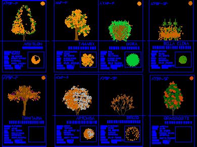 Flowering Trees And Shrubs With Details And Dimensions 2D DWG Detail For AutoCAD Designs CAD