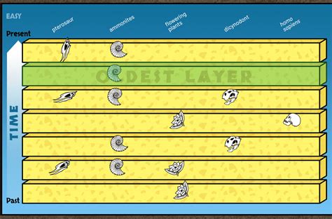 geologic history activities and resources ⋆ sunrise science