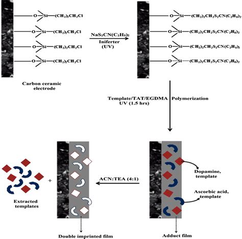 ‘surface Grafting From Modification Of Carbon Ceramic Electrode With Download Scientific