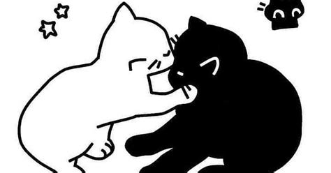 Kittens Album On Imgur