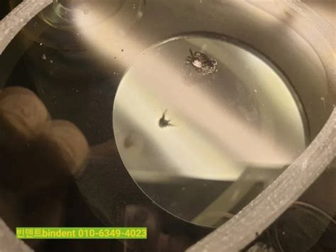 부천유리복원 중동쏘렌토돌빵스톤칩전면유리용접복원출장전문상동소사송내옥길범박역곡김포고촌풍무운양동장기동인천검단부평부개계산계양고양시일산화정원흥동