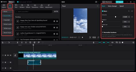 Best Voice Recorder On IPhone Elevate Your Audio Recording Experience