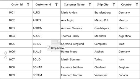 Interactive Features In Uwp Datagrid Control Syncfusion®