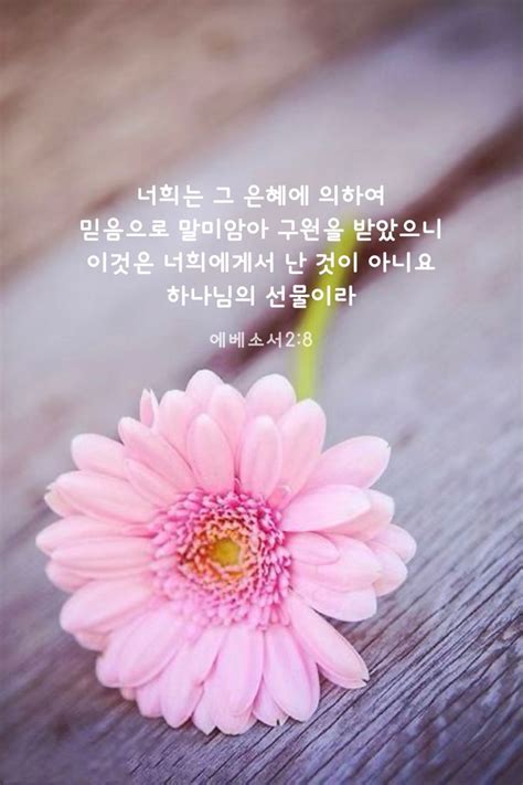 너희는 그 은혜에 의하여 성경 성경구절 2024 성경 구절 성경 예수님