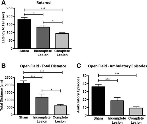 Effect Of Unilateral Dopaminergic Degeneration On Motor And Exploratory