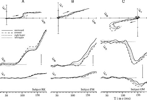 Figure 5 From Short Latency Disparity Vergence In Humans Semantic
