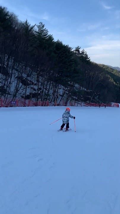 웰리힐리 웰리힐리파크 스키장 2425시즌 키즈스키 X5시즌권 Youtube