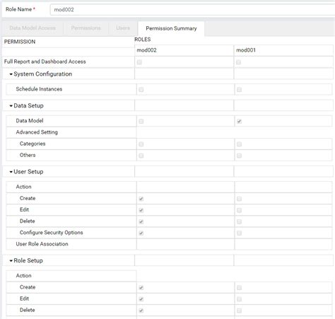 Role Setup Logi Analytics