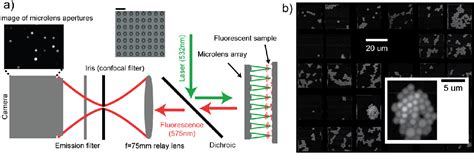 Figure 1 From Scanning Confocal Microscopy With A Microlens Array Semantic Scholar